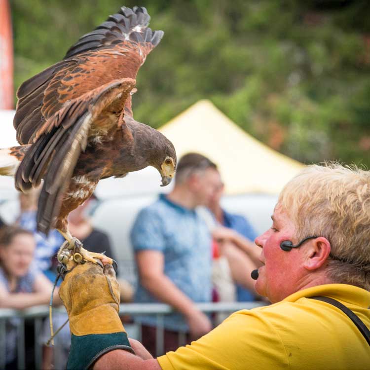 Big Welsh Bite, 3rd and 4th August 2019 | Events in RCT