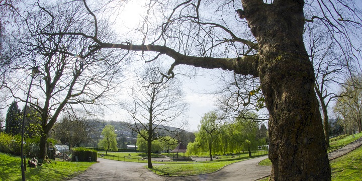 Plants, flowers and wildlife | Rhondda Cynon Taf County Borough Council